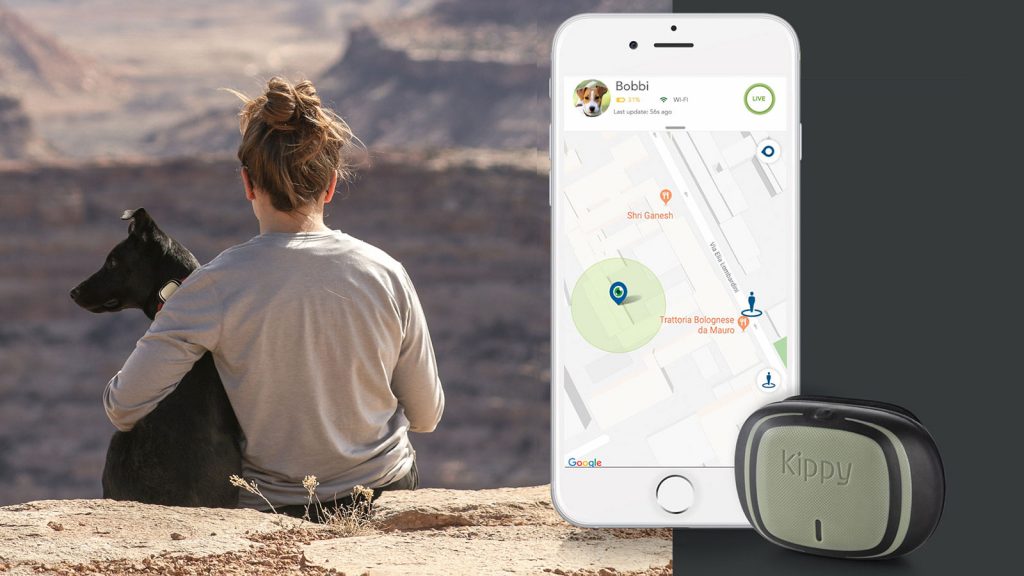 EVO, GPS per cani con activity tracker - Metropolisweb