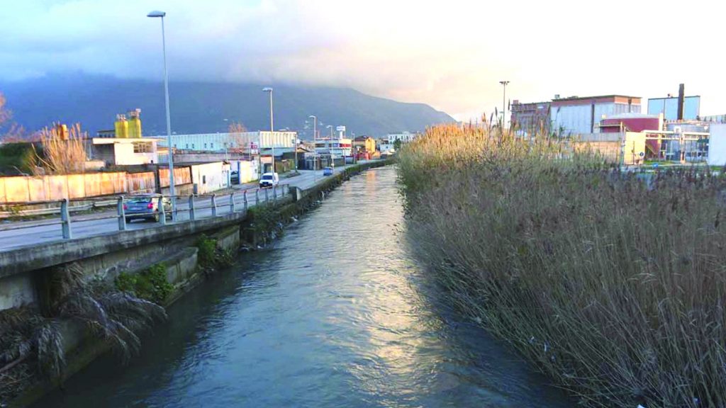Giornata della Terra, Eic in prima linea per il disinquinamento del ...