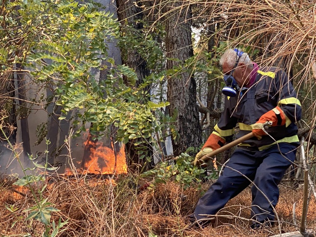 Il Vesuvio divorato dalle fiamme dolose: la guerra per fermare l ...