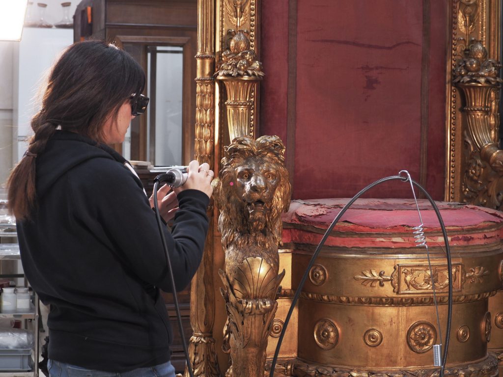 Il Trono torna a casa: splendore e verità storica al Palazzo Reale di ...